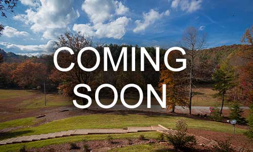 Blue Ridge Zip Line and Canopy Tours Rates